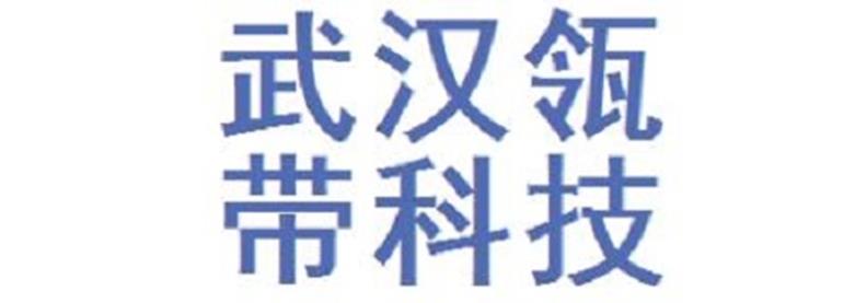 武汉瓴带科技有限公司-CMMI中文网